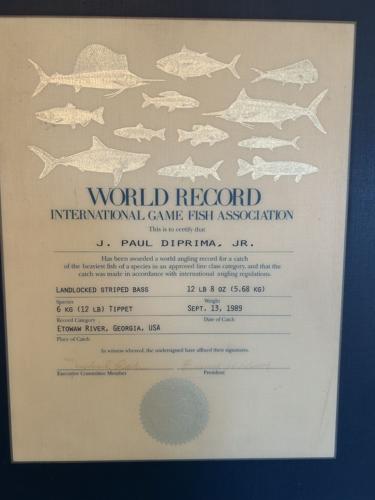 TALKING TROUT: Not My Biggest Striped Bass | Columns ...