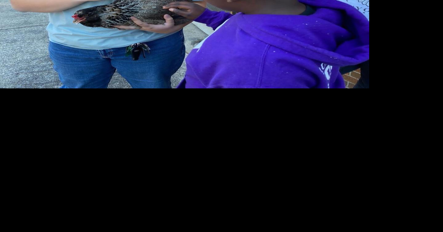 THRIVE Students Learn about Chickens | Education | northwestgeorgianews.com