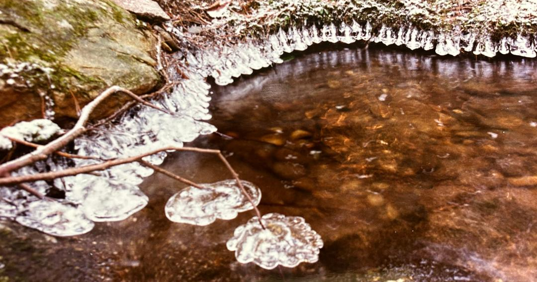 TALKING TROUT: Fishing is more than size and numbers | Sports ...