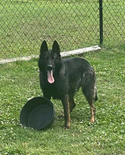 Floyd County Sheriff's Office receives heat alarm system from Georgia ...