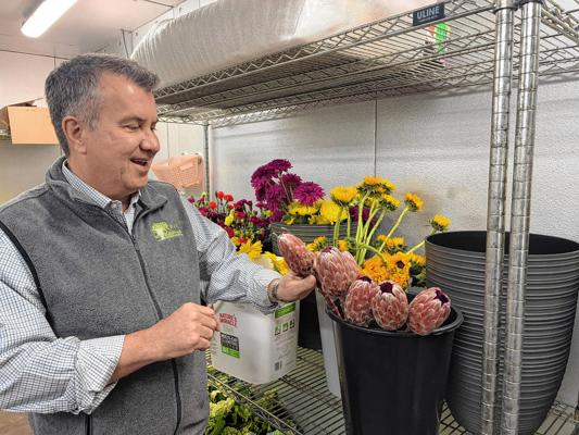 Bussey's Florist marks 50 years of blooming | Business ...