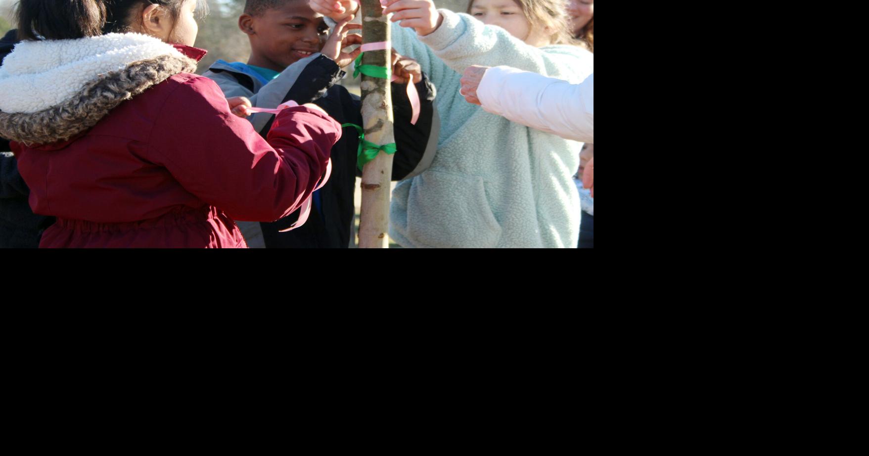 Here’s How Cedartown Celebrated Georgia Arbor Day | Local ...