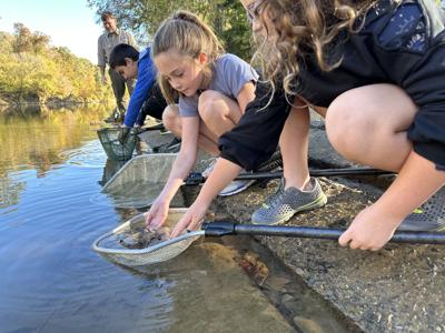 Local Schools Help DNR Release Lake Sturgeon into the Oostanaula River ...