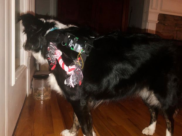 Berry College's HackBerry Lab hosts virtual open house to showcase 200 ...