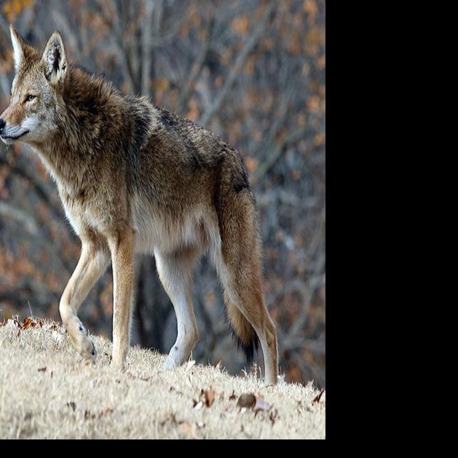 Mary Louise Lever makes front of Taste of Home cookbook | Local News ...