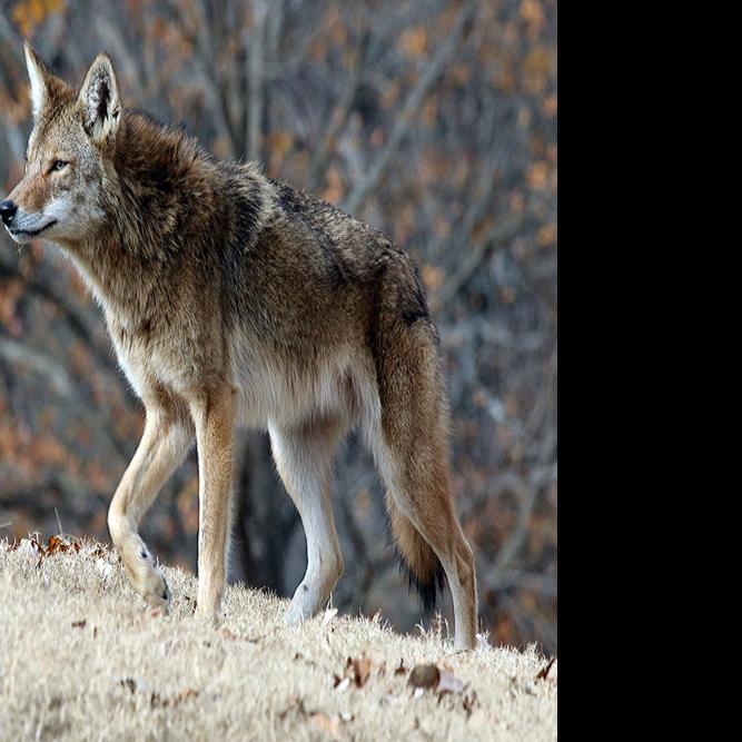 Mary Louise Lever makes front of Taste of Home cookbook | Local News ...