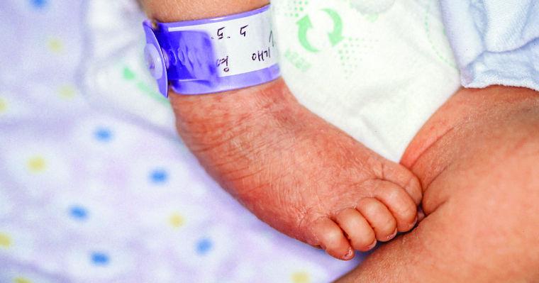 New Arrivals for the Wednesday, Oct. 2, 2024 Edition of the Standard ...