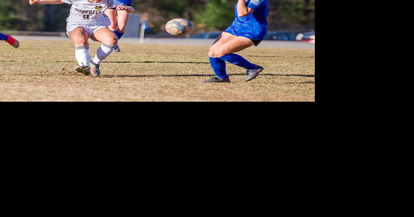 Pepperell's Hurst, Armuchee's Park earn top honors | Sports ...