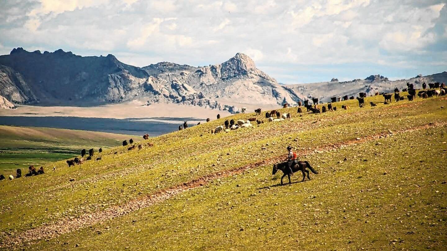 Michael Pollard’s race across Mongolia: An elite equestrian triumphs in ...