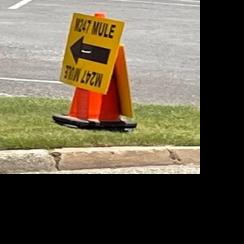 Codenamed M247 Mule, ‘Stranger Things’ prepares for latest shoot in ...