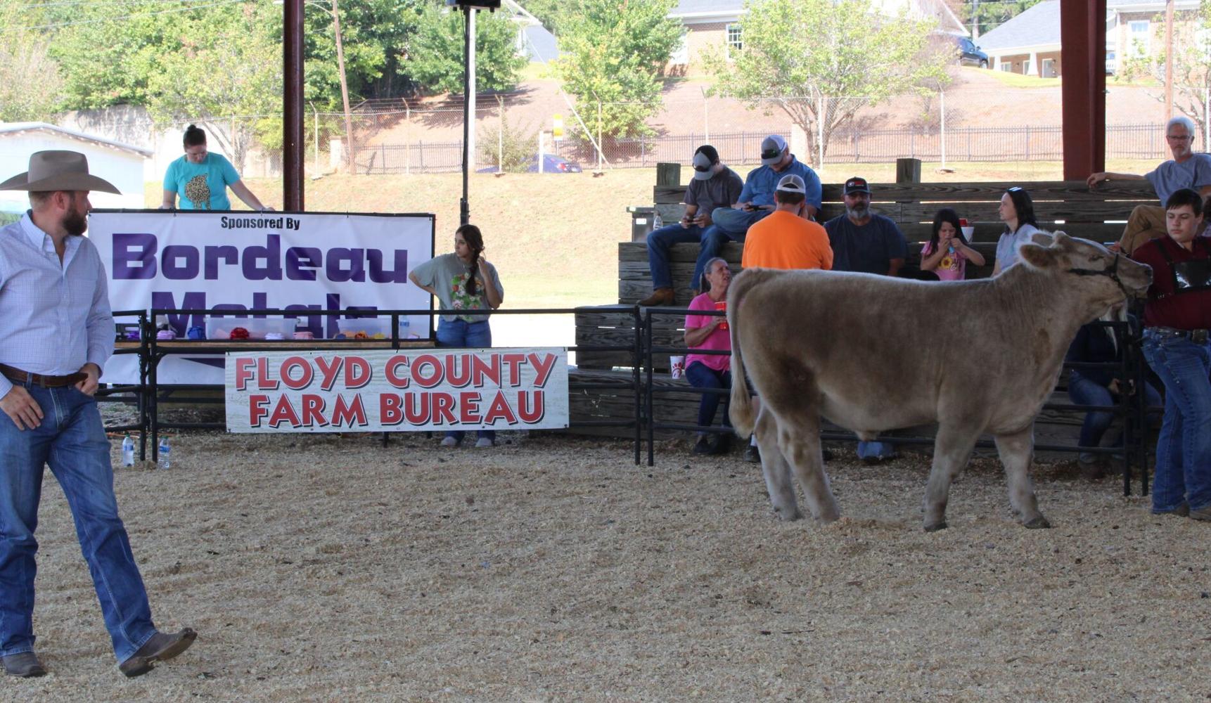 The Coosa Valley Fair opens today | Local News | northwestgeorgianews.com