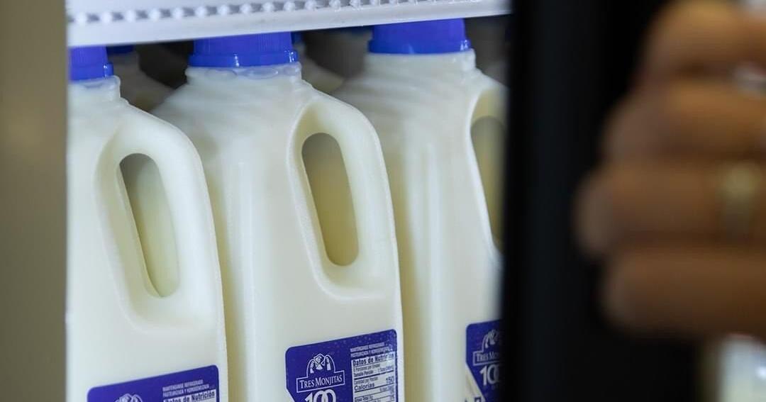 Ganaderos respaldan aumento en cuartillo de leche | Gobierno y Política ...