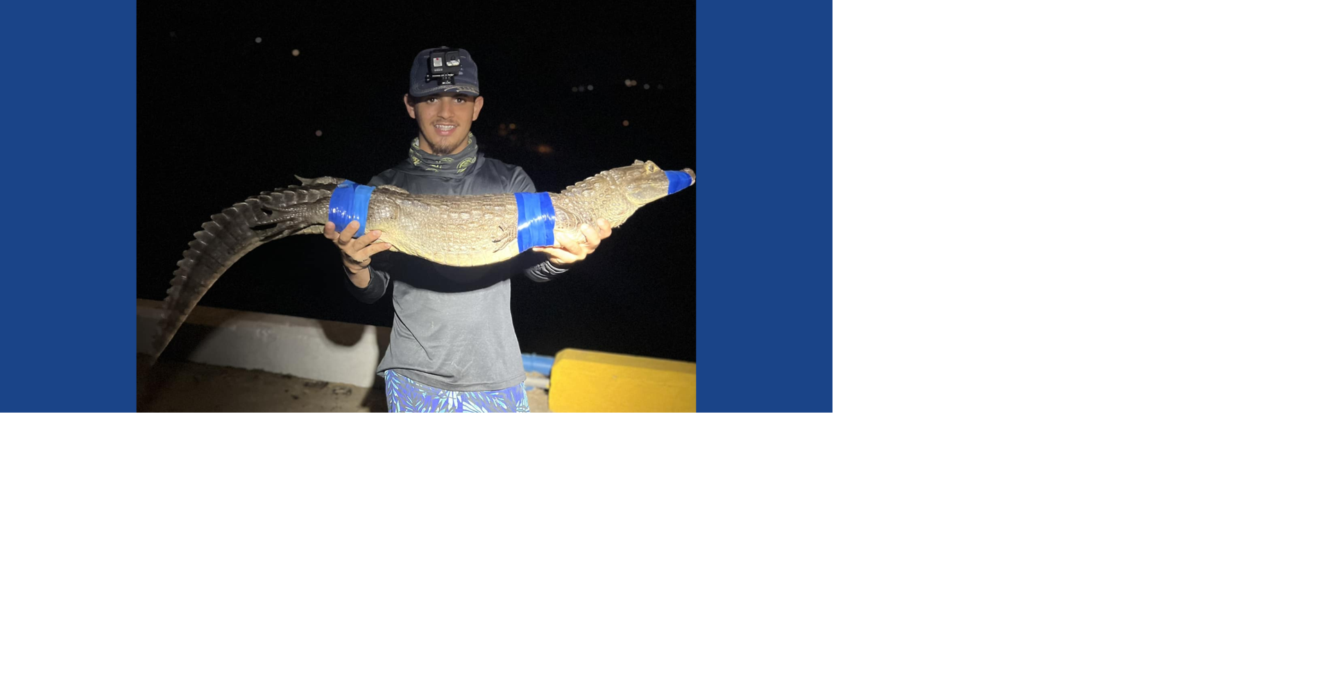 EN VIDEO captura de caimán en Cidra | Noticias | notiuno.com