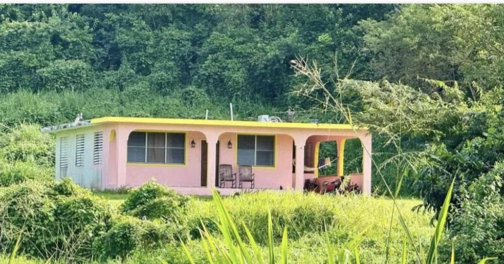 Investigan tiroteo frente a "La Casita" de Don Román | Último Minuto ...