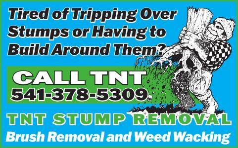 TNT Stump Removal | Tree Service | nrtoday.com