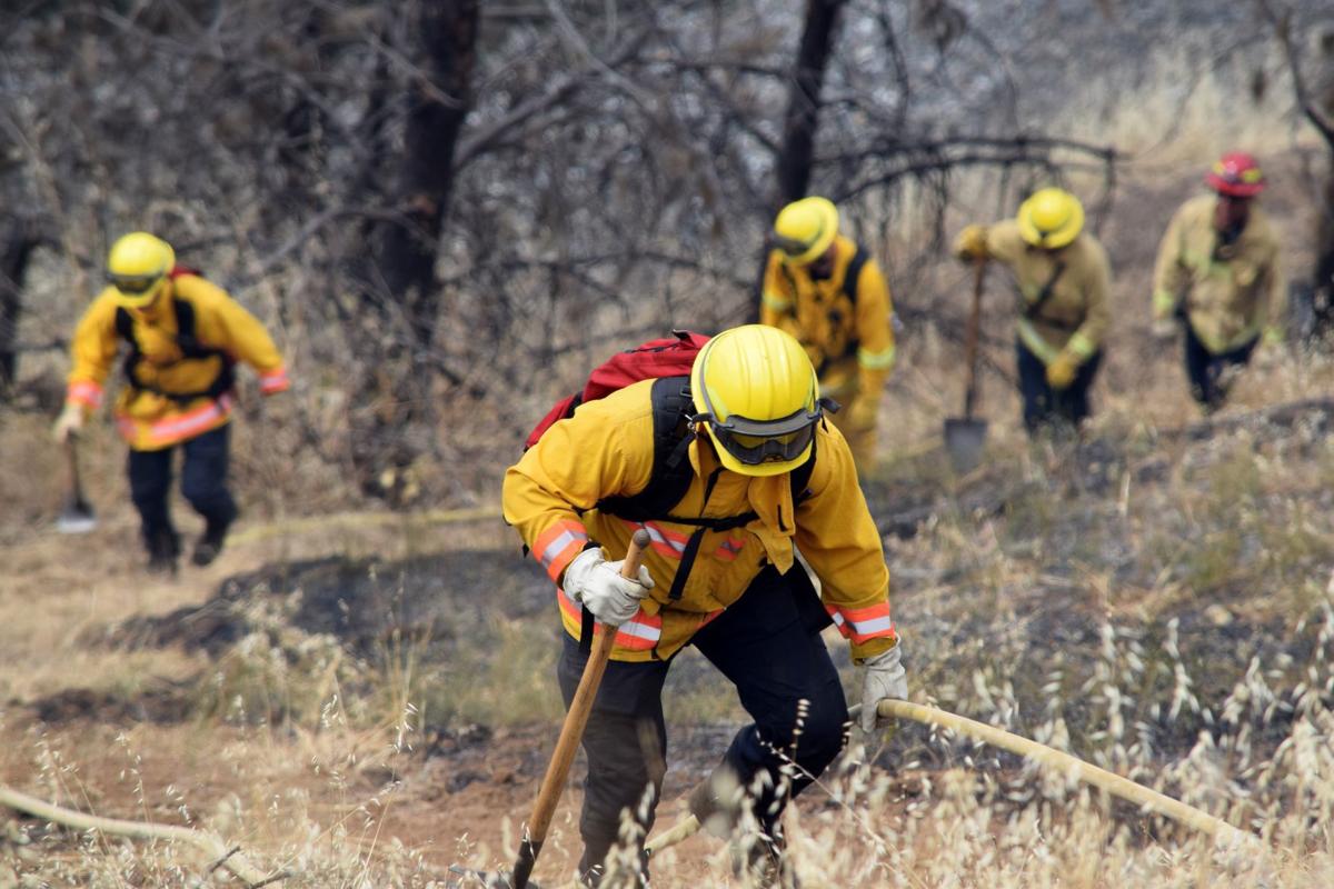 Firefighters converge on Reservoir Hill for wildfire training ...