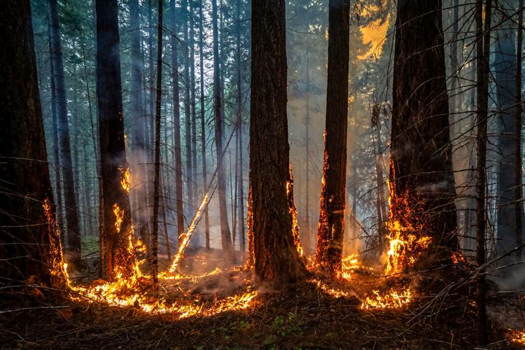 Douglas County fire update: Way Church Shelter hosted few evacuees ...