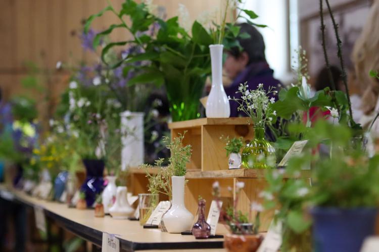 Glide Wildflower Show presents plants, walks, other outdoorsy things ...