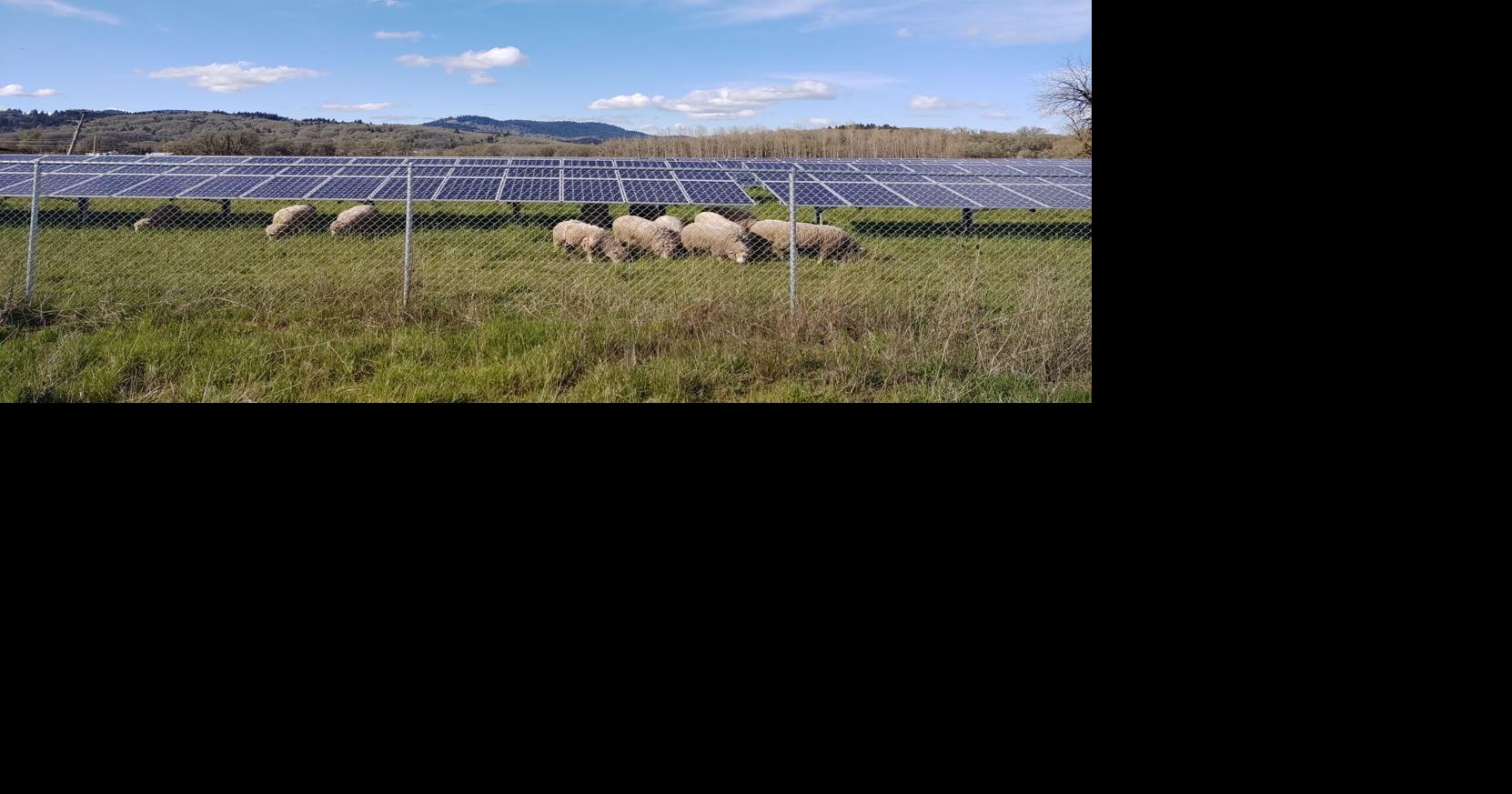 Construction starts on Oregon State agrivoltaics farm that will merge ...