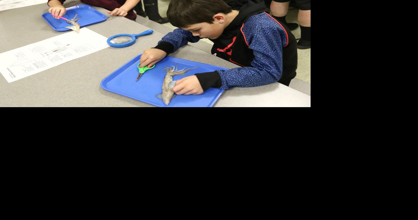 An underwater science lab at Sunnyslope Elementary School | Education ...