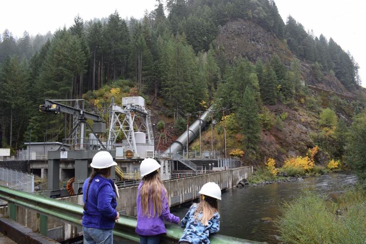 Fish passage improvements seen on hydroelectric project tour ...