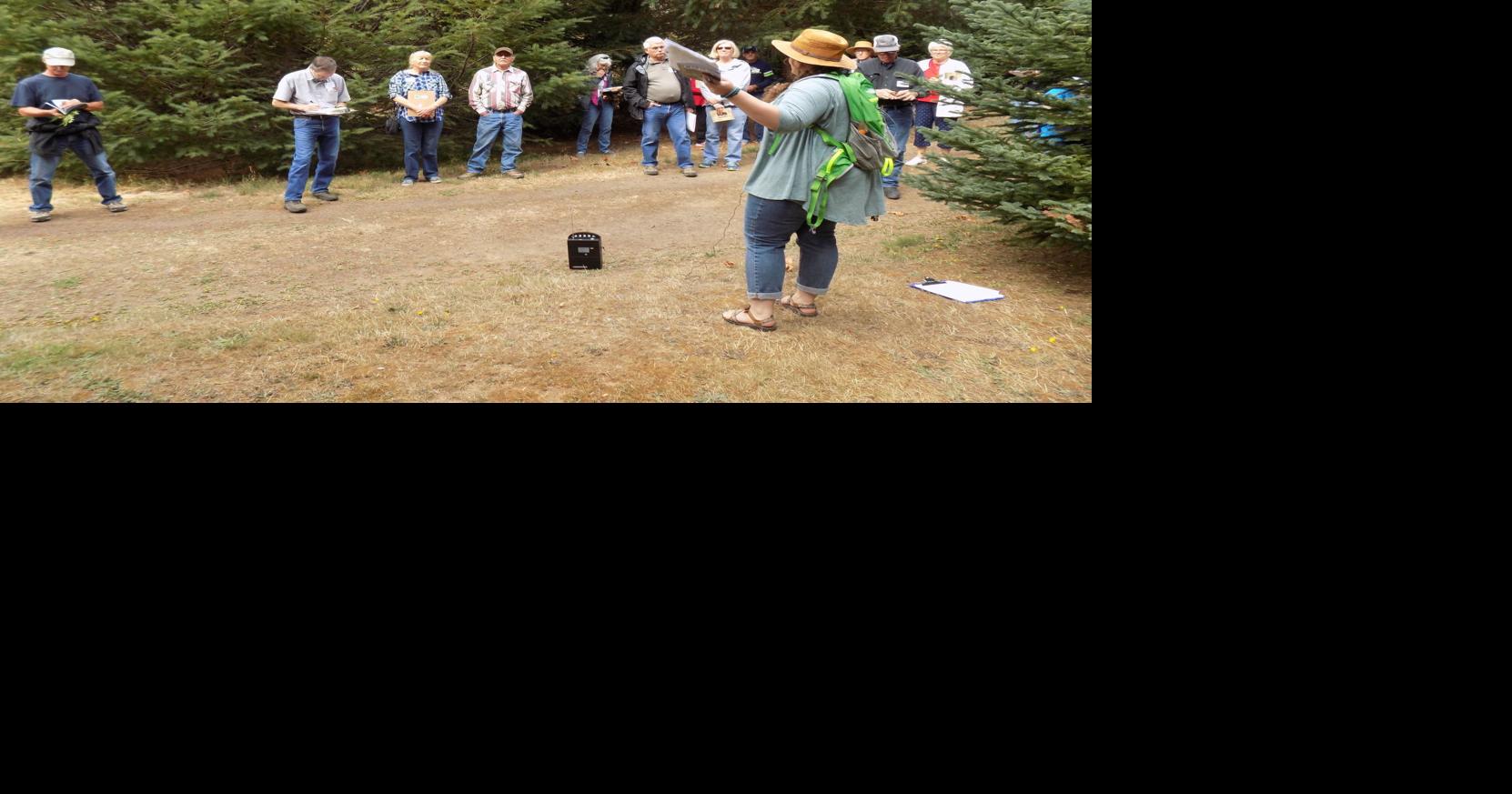 Learn to identify native Oregon trees | Home And Garden | nrtoday.com