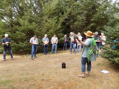 Learn to identify native Oregon trees | Home And Garden | nrtoday.com