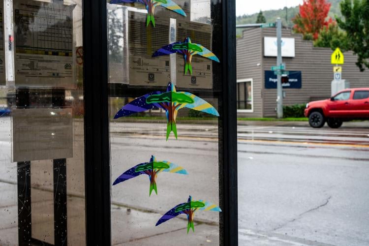 Umpqua Valley Arts partners with Thrive Umpqua, Umpqua Public Transit ...