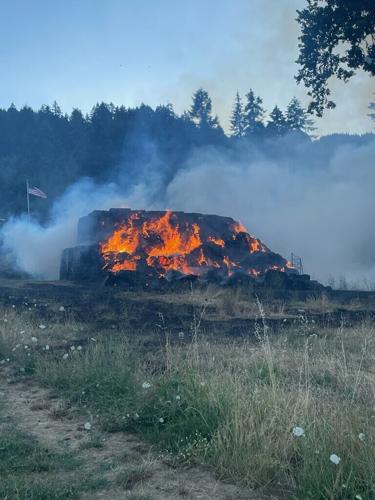 UNF fires combined into Diamond Complex | Environment | nrtoday.com