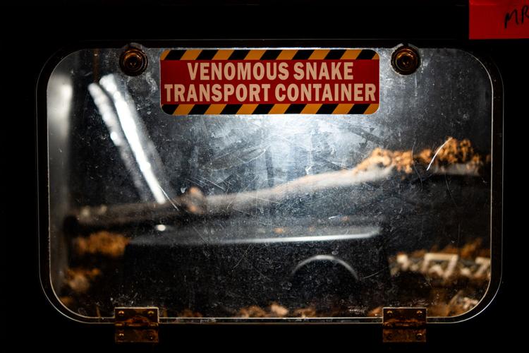 All things jungle: Reptile rescue moves to new location in Roseburg ...