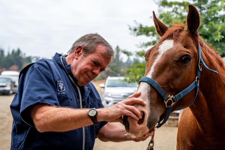 Scott Hendy retires after nearly five decades of veterinary work ...