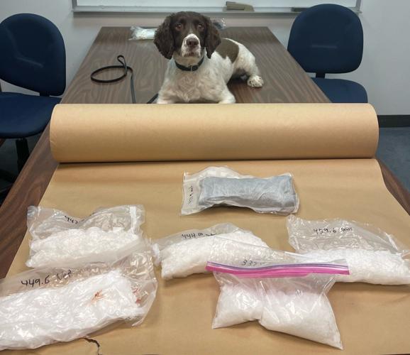 DINT, K-9 Trapper play key role in three drug-related arrests | News ...