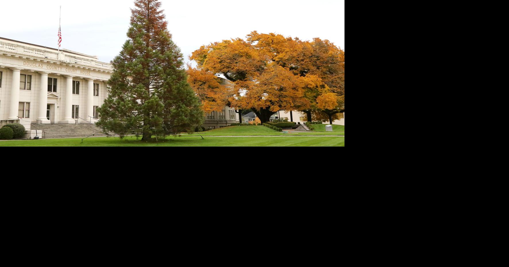 Douglas County Courthouse Christmas tree to be replaced after top died ...