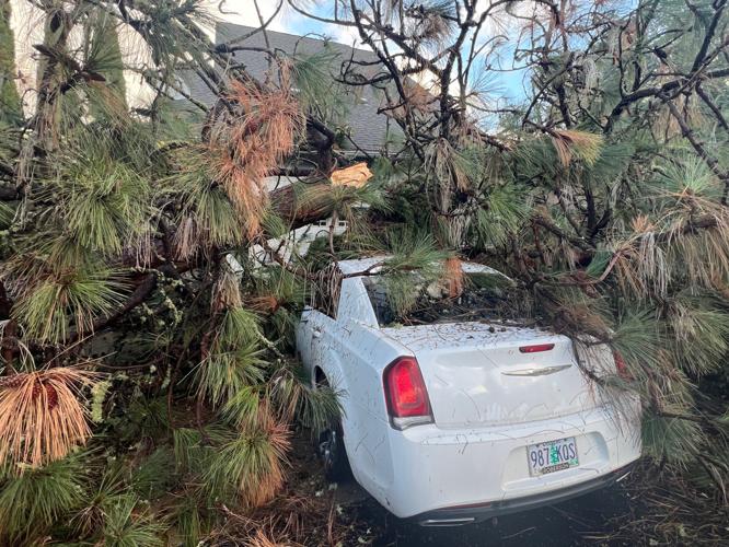 High winds cause power outages, property damage in Roseburg; more heavy ...