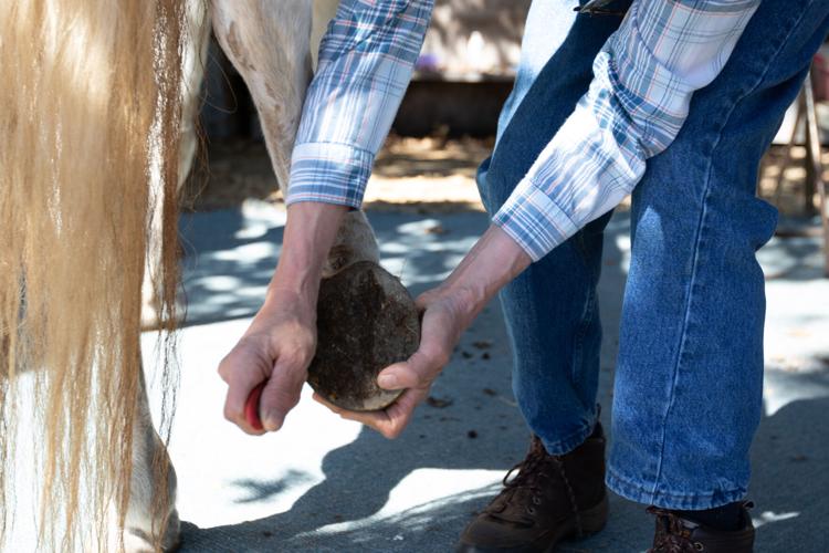The ladies of the Whippersnappers Club | Family | nrtoday.com