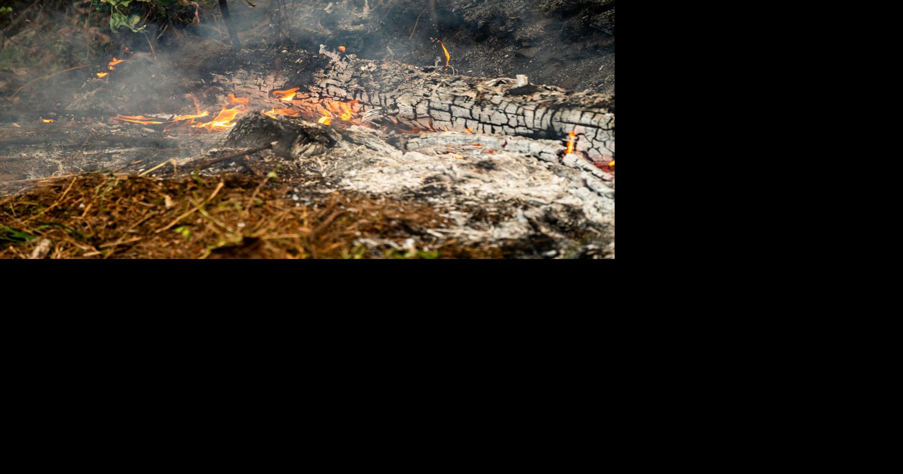 Terrain remains a barrier for fighting Tyee Ridge Complex | Wildfires ...