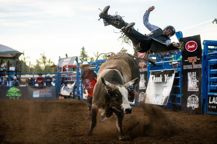 Roundup of local Rodeos | News | nrtoday.com
