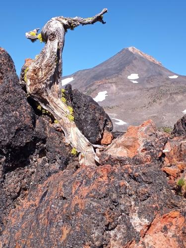 Mustering up the strength to carry on backpacking | Local News ...