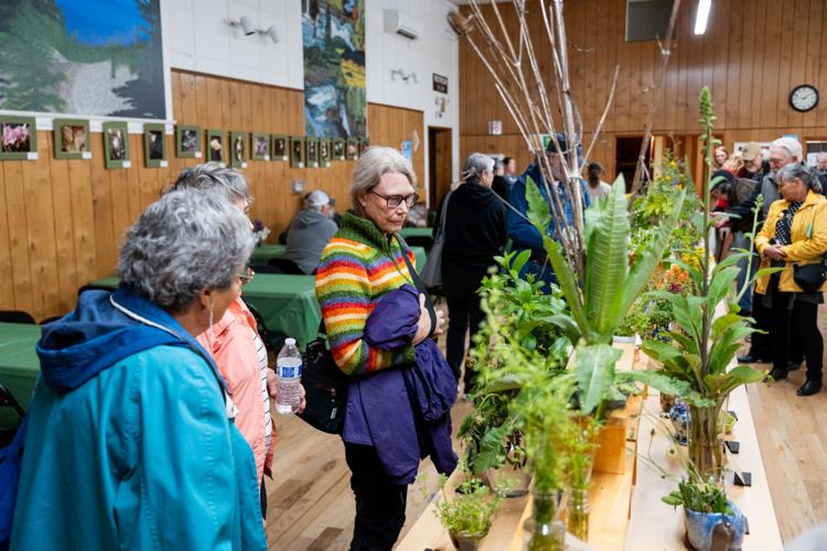 Annual Glide Wildflower Show displays Mother Nature's gift | News ...