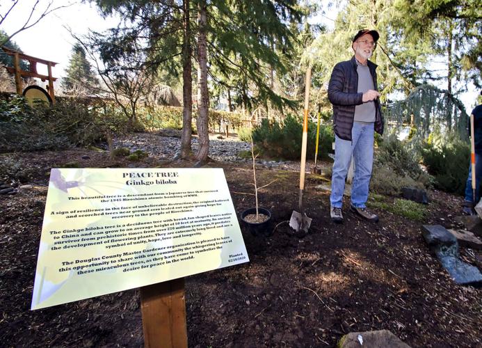 Forestry department celebrates conclusion of Hiroshima peace tree ...