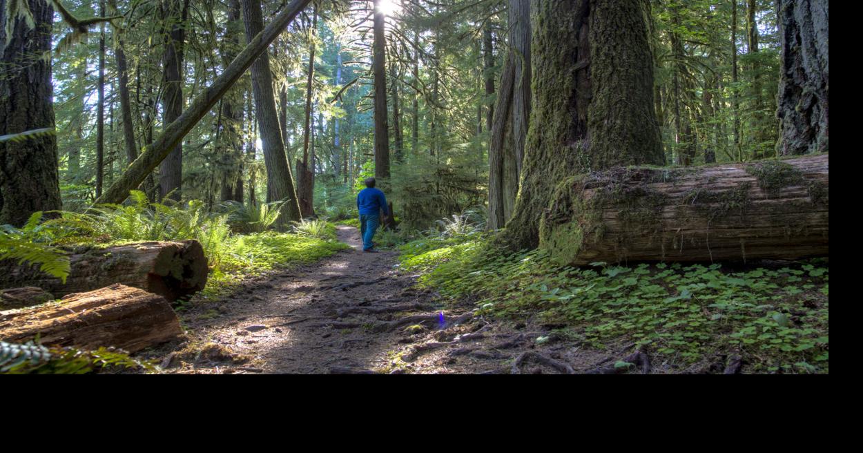 BLM and USFS waive day-use fees in observance of MLK Jr. Day ...
