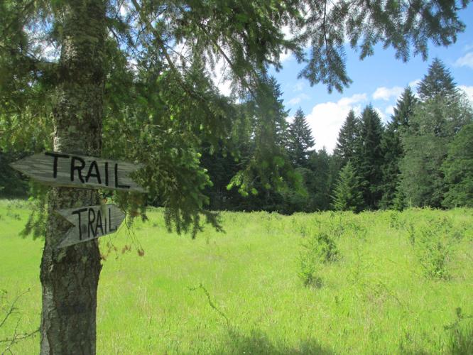 Help clean up local trails at Mildred Kanipe on Saturday | Family ...