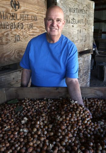 An early season for hazelnuts | Business | nrtoday.com