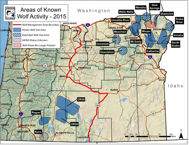 Wolves quietly coming into Western Oregon | News | nrtoday.com