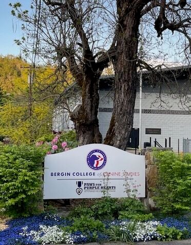 Bergin College is bringing its school to Canyonville | News | nrtoday.com