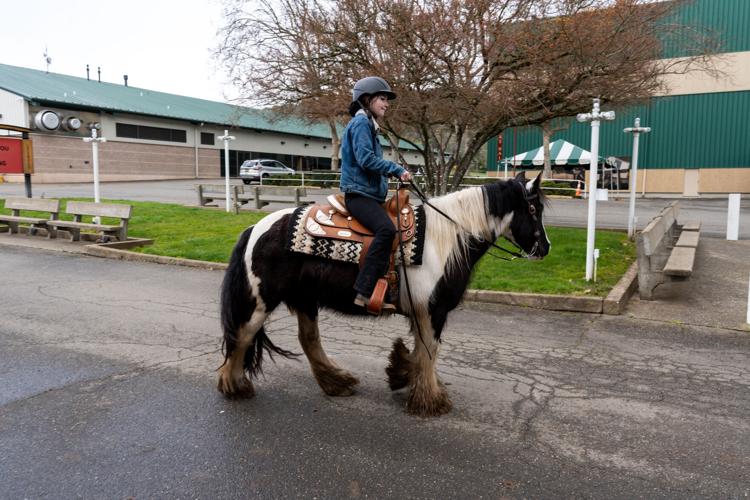 Mounted Posse show: Riders of all skill levels show off their abilities ...