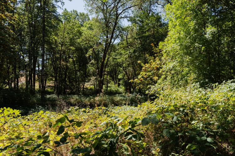 Mildred Kanipe Park: 'A pretty special place' | News | nrtoday.com