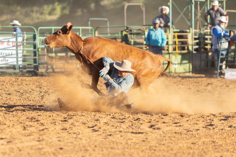Yoncalla Rodeo: Annual county summer event draws large number of ...