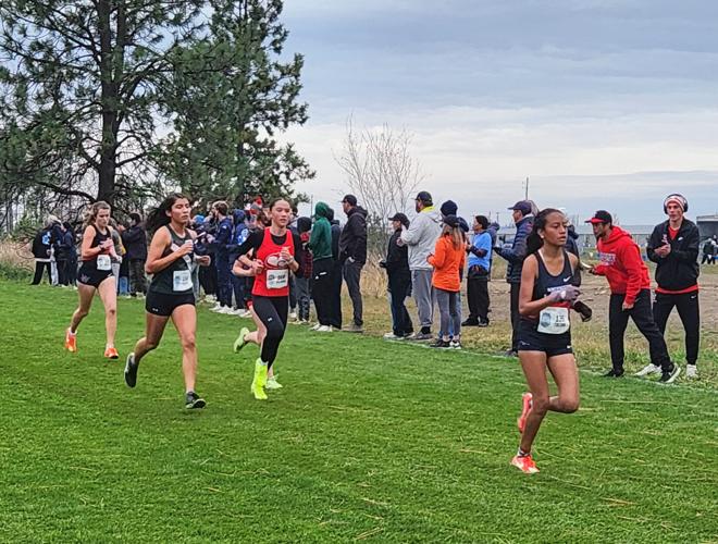 College Cross Country: UCC's Felipe, Miller turn in All-America ...