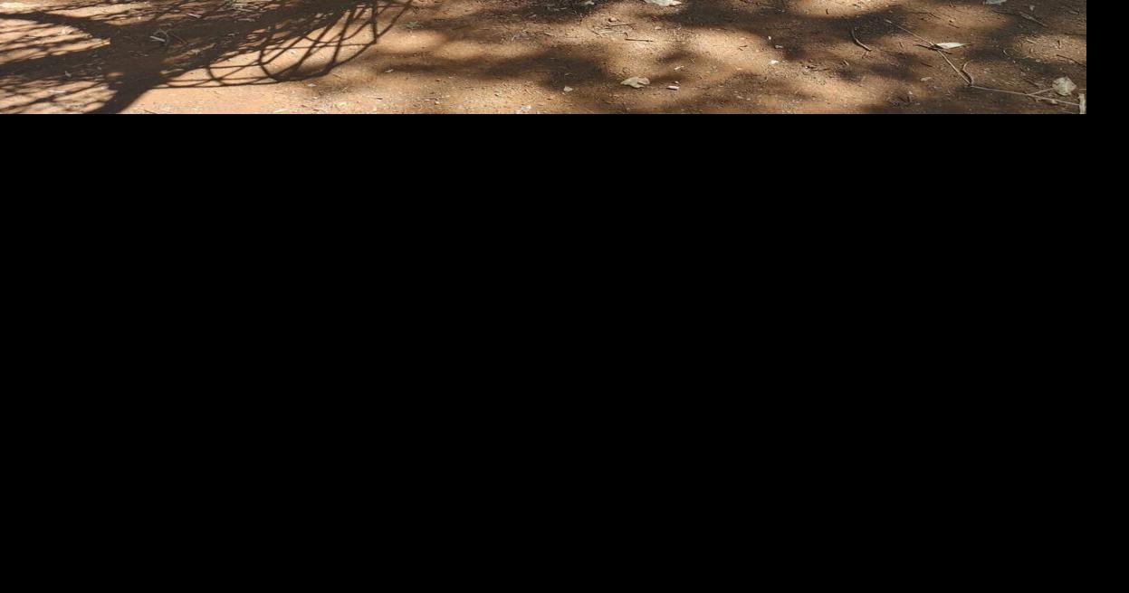 Disc golf baskets damaged, police seek answers | Briefs | nrtoday.com